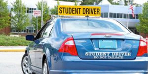 Products - Student Driver Signs - School Bus Signs